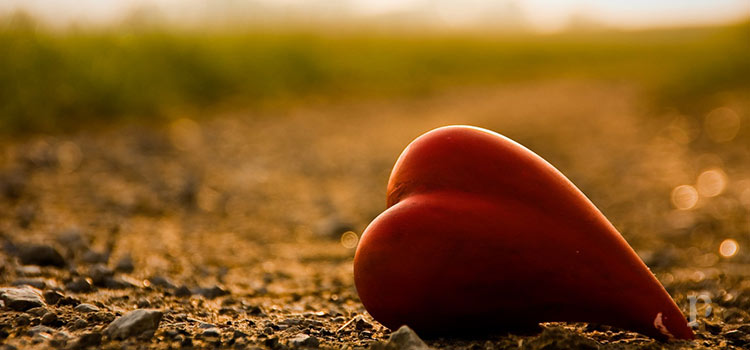 ¿Será que hay Corazones? - SicologiaSinP.com