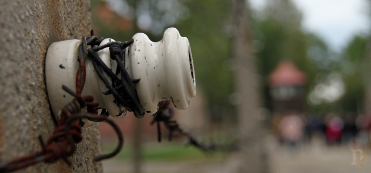 Reclusiones (2)* - SicologiaSinP.com