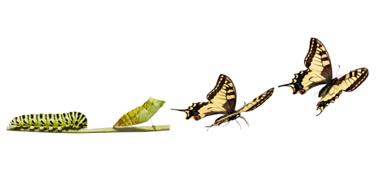 Metanoia - SicologiaSinP.com